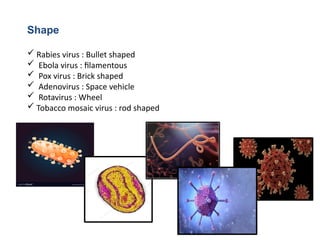 general Virology & Overview of Viral Infections.pptx