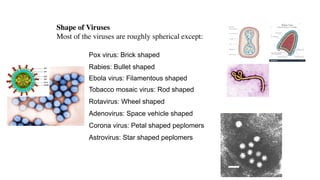 General Virology part 1.pdf