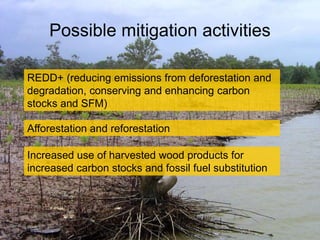 Generating income from mangroves through climate change mitigation | PPTX