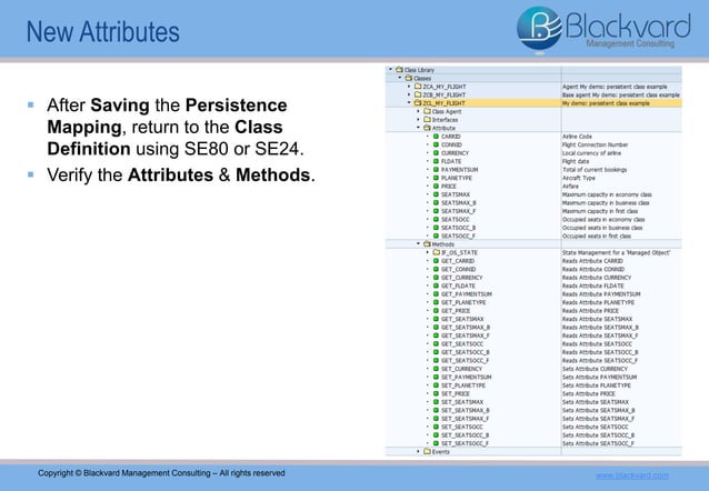 Sap Persistence Creating Source Code Automatically Ppt