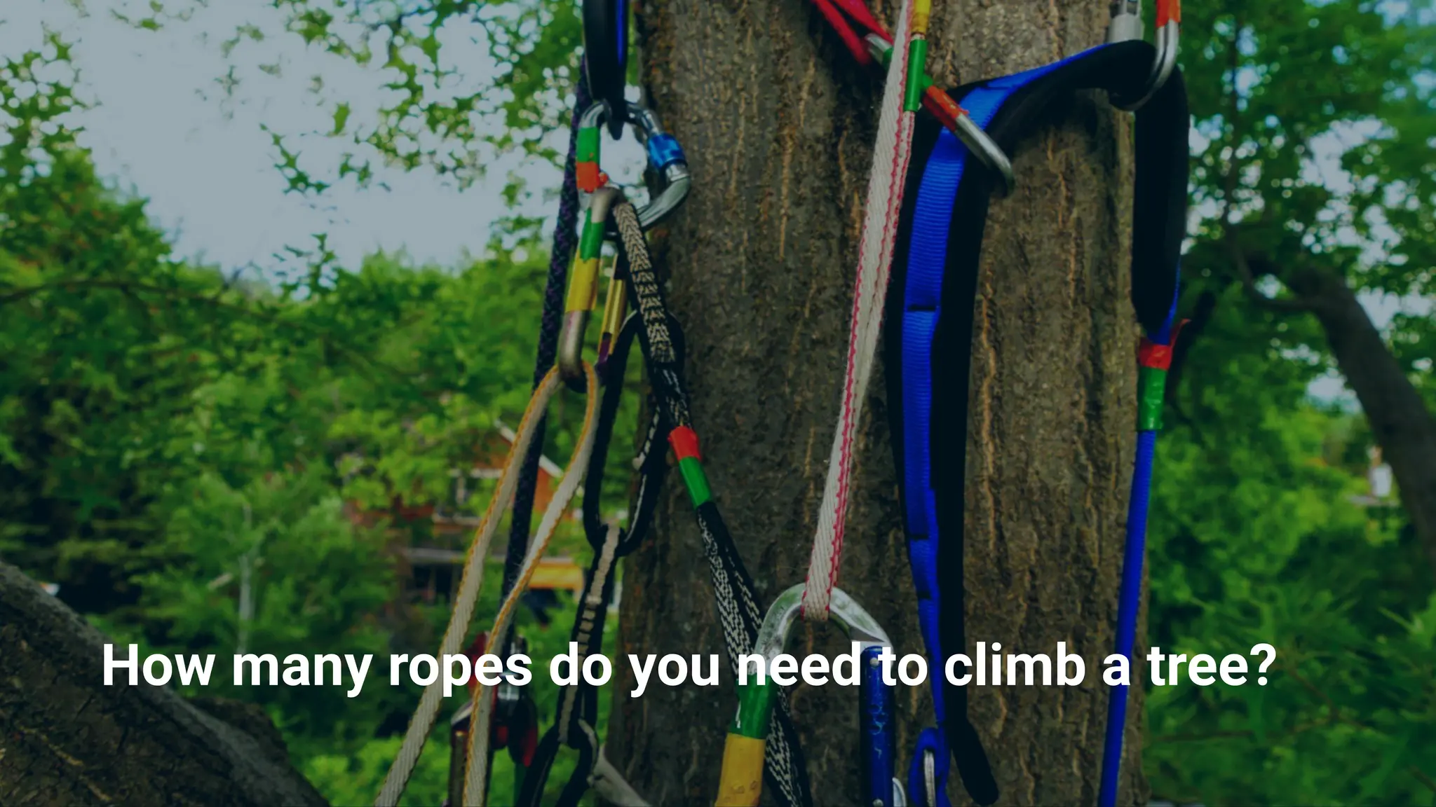 "Generating Types without climbing a tree", Matteo Collina | PDF | Web Development | Internet