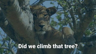 "Generating Types without climbing a tree", Matteo Collina | PDF | Web ...