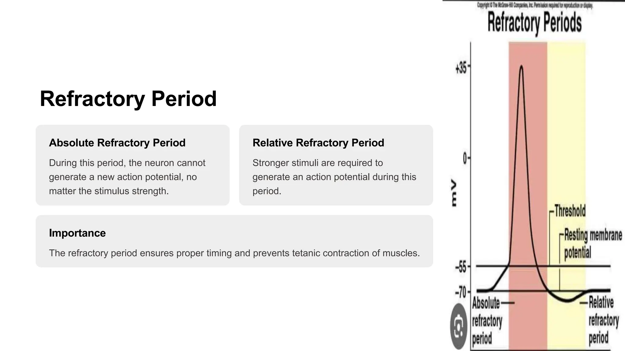 Generation-and-Propagation-of-Nerve-Impulses-and-Synaptic-Transmission ...