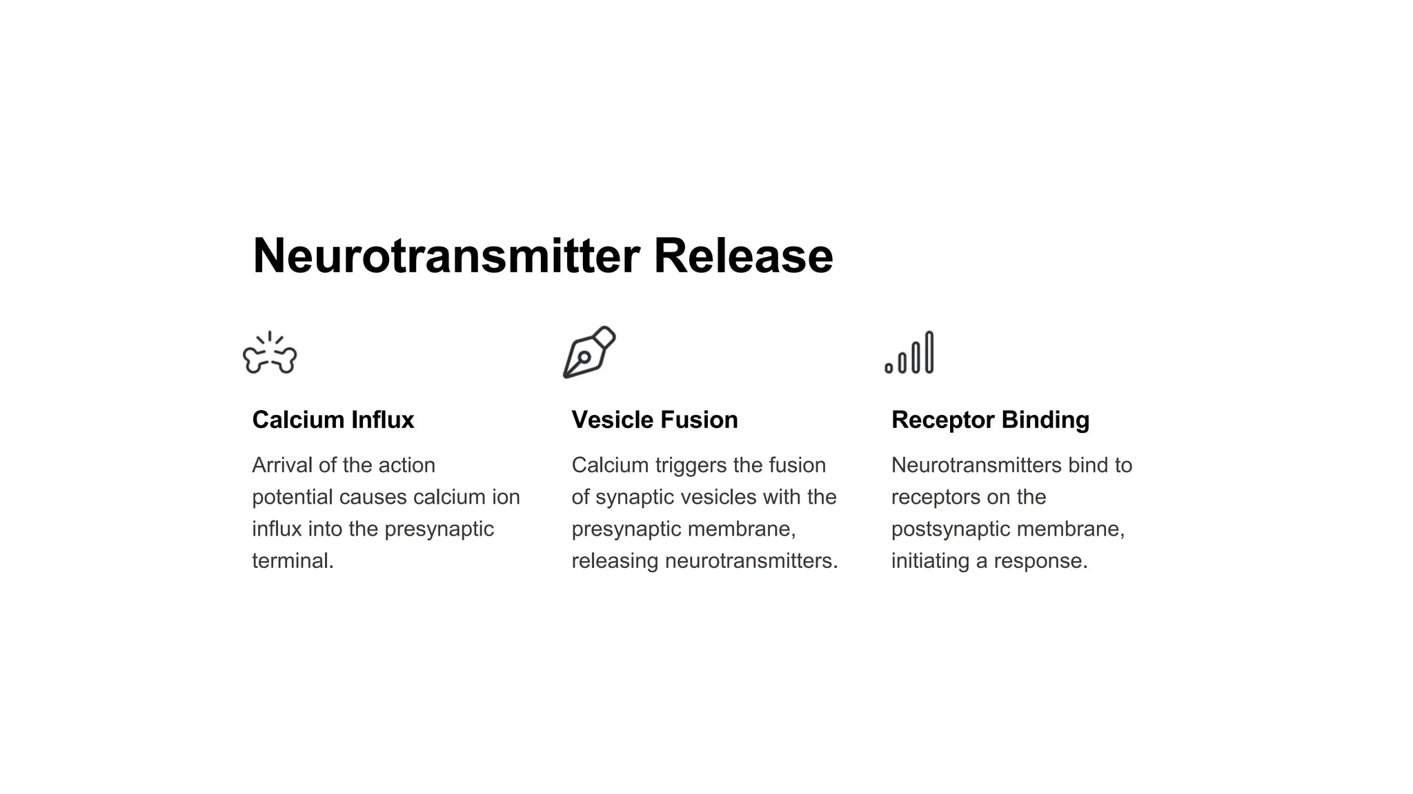 Generation-and-Propagation-of-Nerve-Impulses-and-Synaptic-Transmission ...