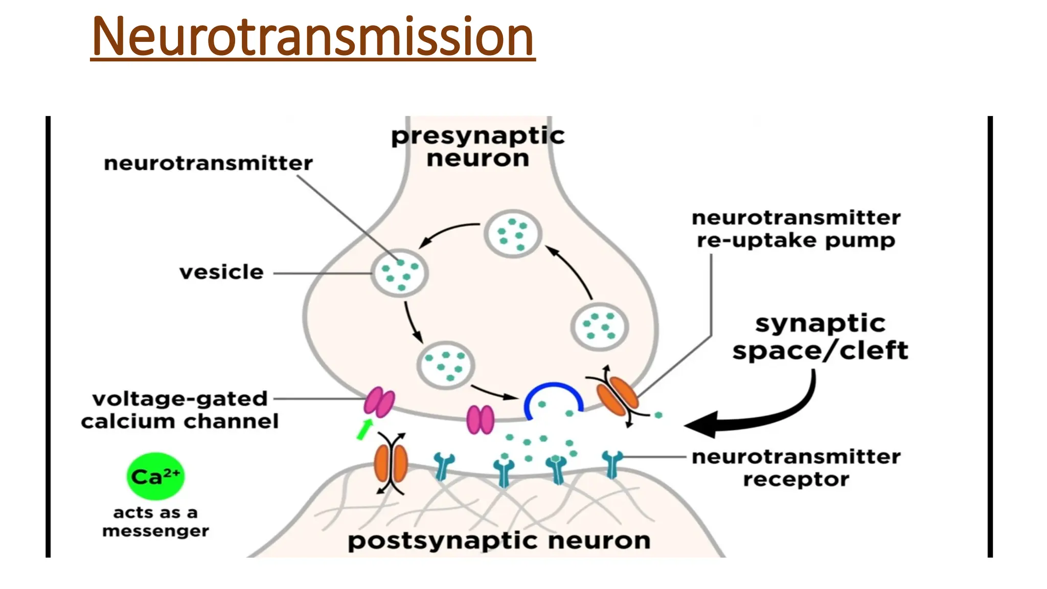 GENERATION AND CONDUCTION OF NERVE IMPULSE by Yashendra.pptx