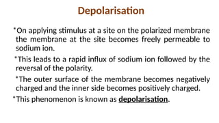GENERATION AND CONDUCTION OF NERVE IMPULSE by Yashendra.pptx