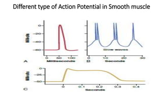 generation of action potential for medical.pptx