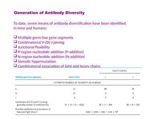 Generation of Antibody diversity with detailed explanation | PPT
