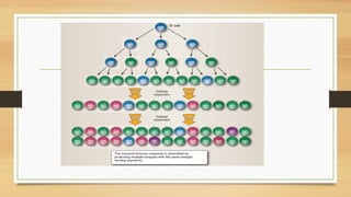 immunology .Generation of Immune Diversity.pptx