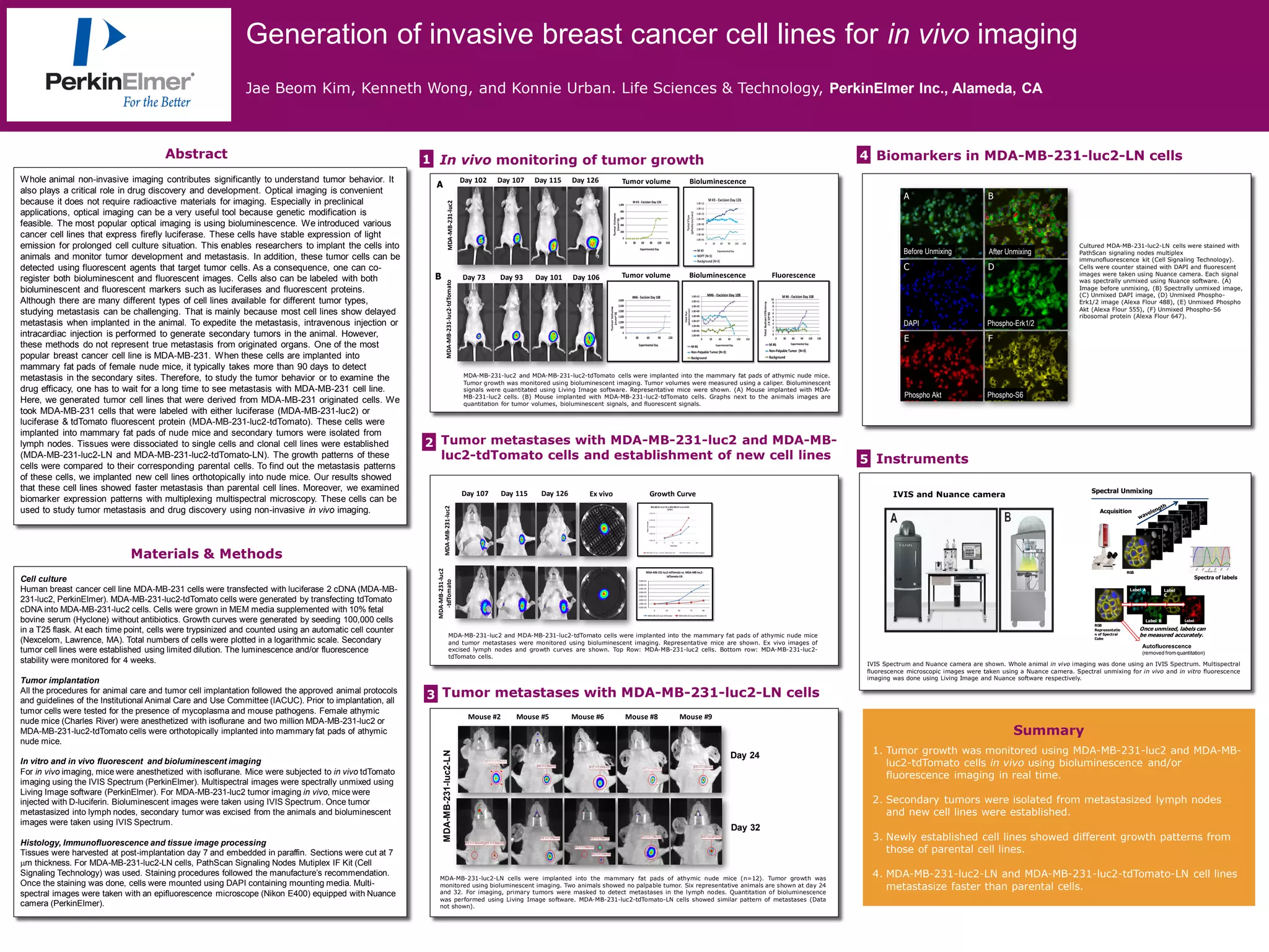 Generation of invasive breast cancer cell lines for in vivo imaging | PDF
