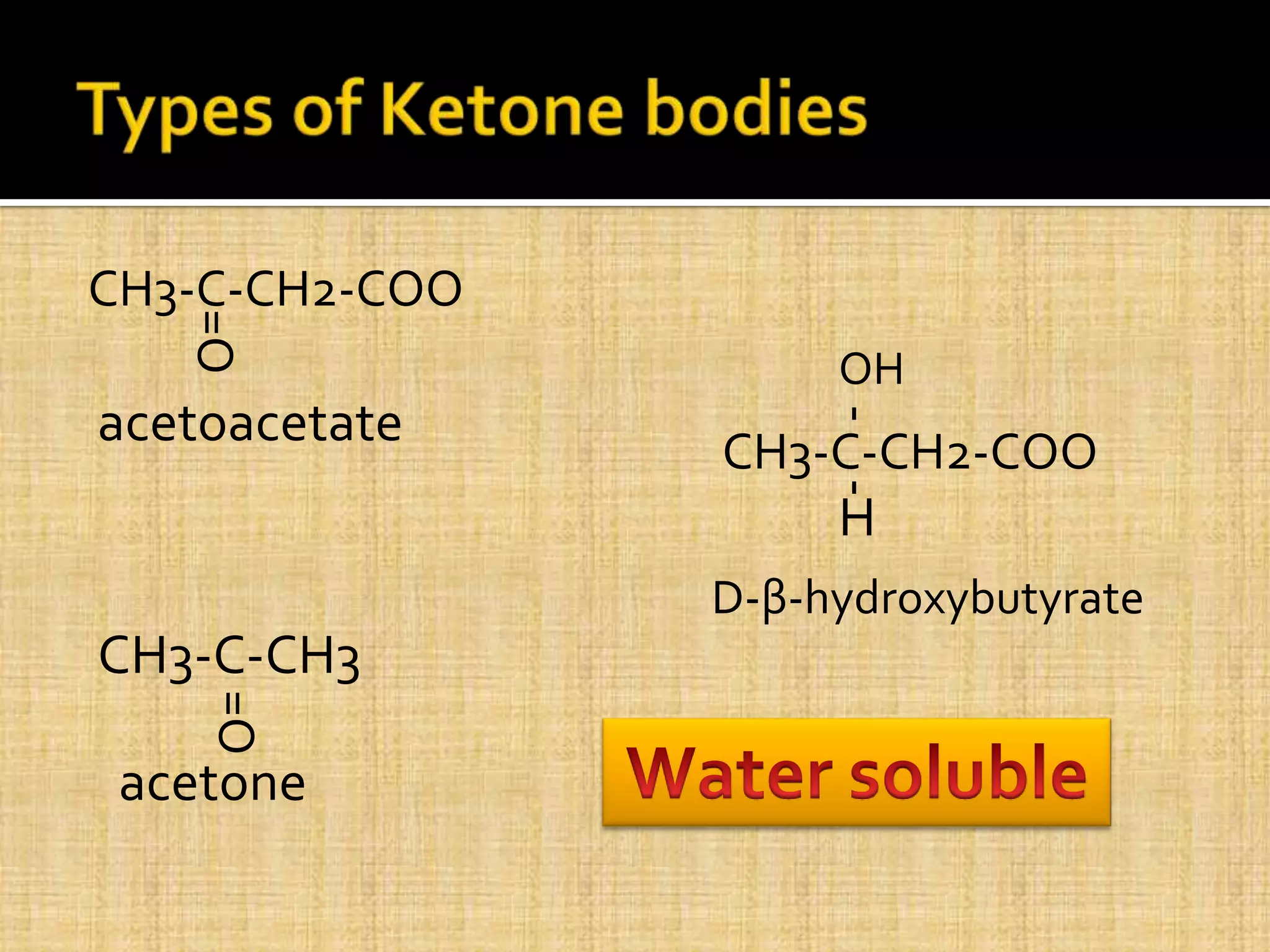 Generation of ketone bodies | PPTX