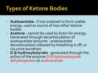 Generation of ketone bodies | PPTX