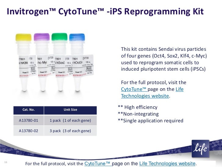 Generation of Transgene-free iPSCs with CytoTune™ iPS Sendai Cell Rep…