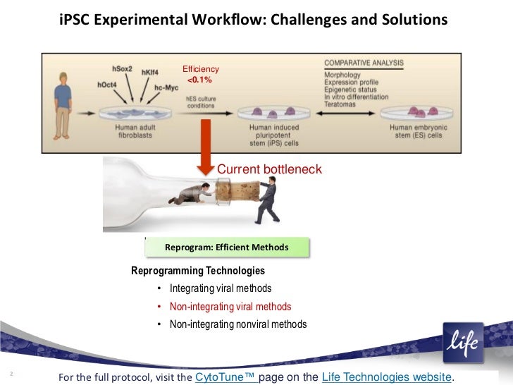 Generation of Transgene-free iPSCs with CytoTune™ iPS Sendai Cell Rep…