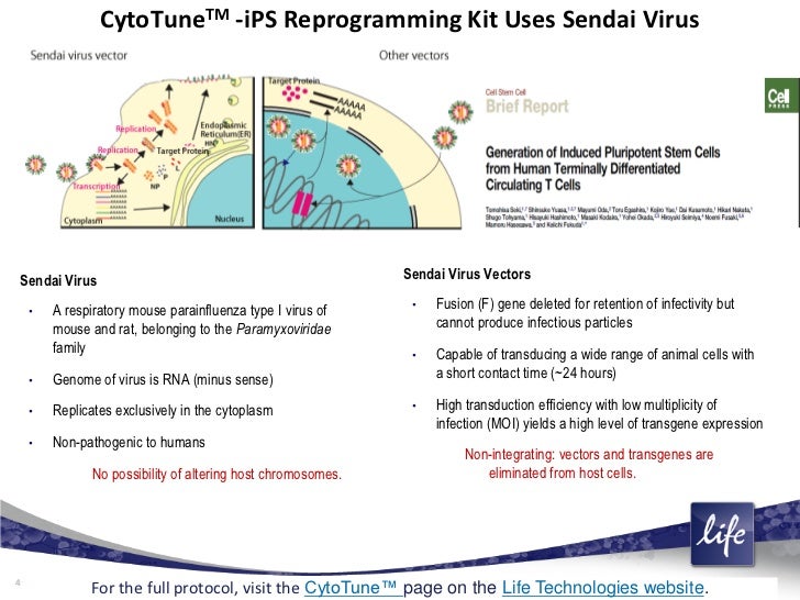 Generation of Transgene-free iPSCs with CytoTune™ iPS Sendai Cell Rep…