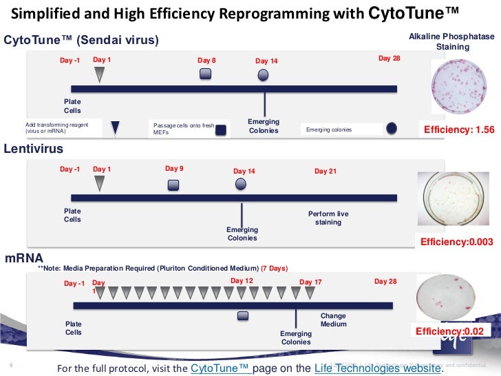 Generation of Transgene-free iPSCs with CytoTune™ iPS Sendai Cell Rep…