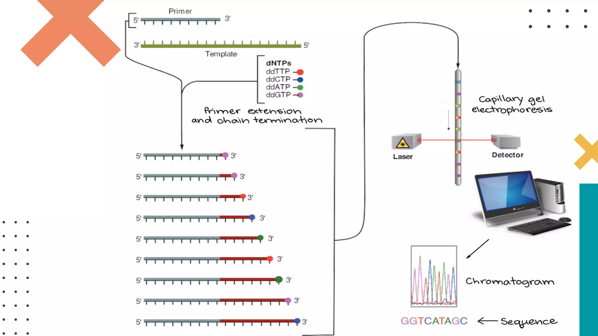 Generations of sequencing technologies. | PDF