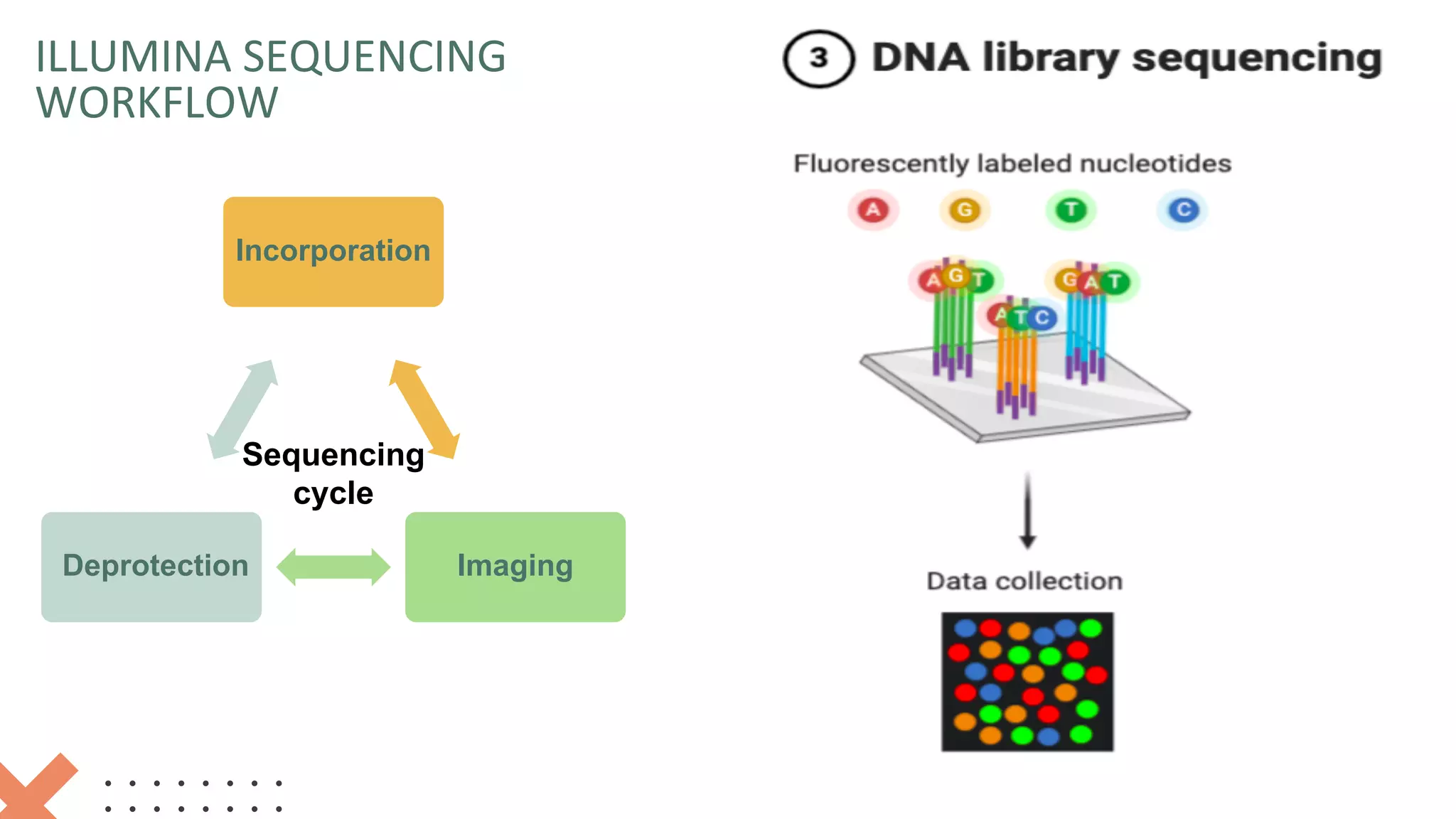 Generations of sequencing technologies. | PDF