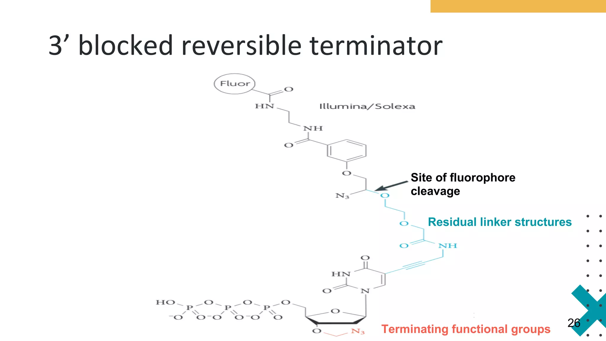 Generations of sequencing technologies. | PDF