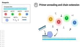 Generations of sequencing technologies. | PDF