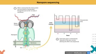 Generations of sequencing technologies. | PDF