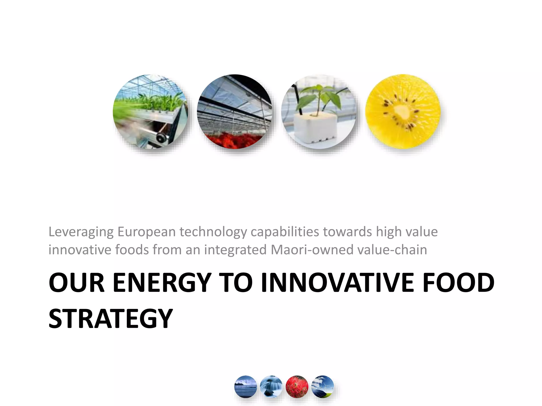 Generation zero, Sustainable development and Maori leadership | PPTX