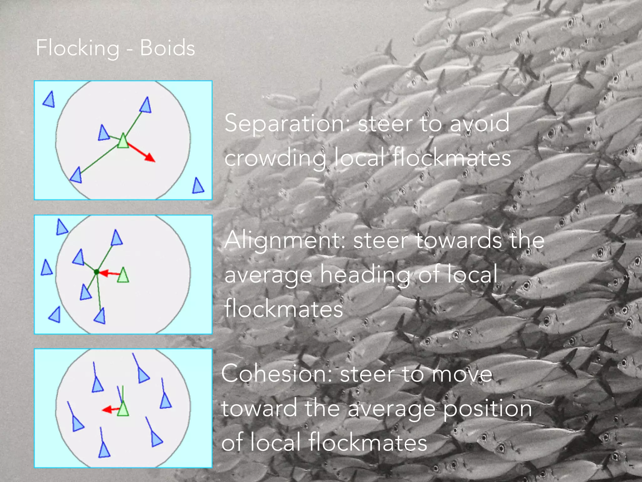 Generative Art Tutorial | PDF | Physics | Science