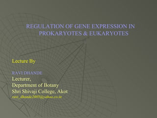 Gene regulation | PPT