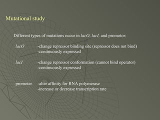 Gene regulation | PPT