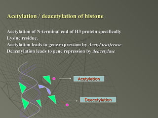 Gene regulation | PPT