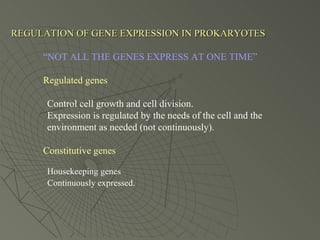 Gene regulation | PPT