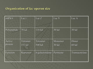 Gene regulation | PPT