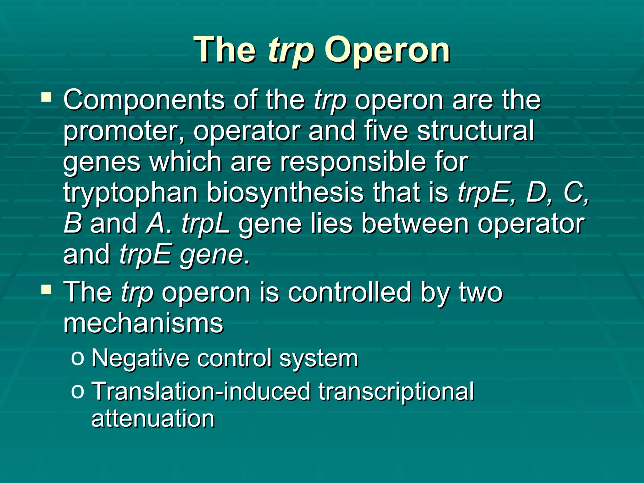 Gene regulation | PPT