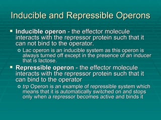 Gene regulation | PPT