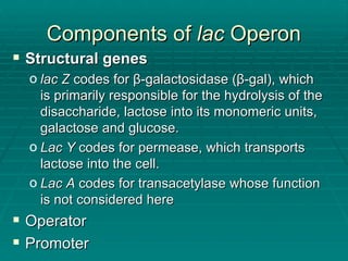 Gene regulation | PPT