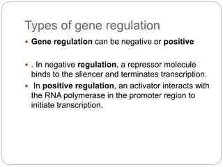 Gene regulation | PPSX