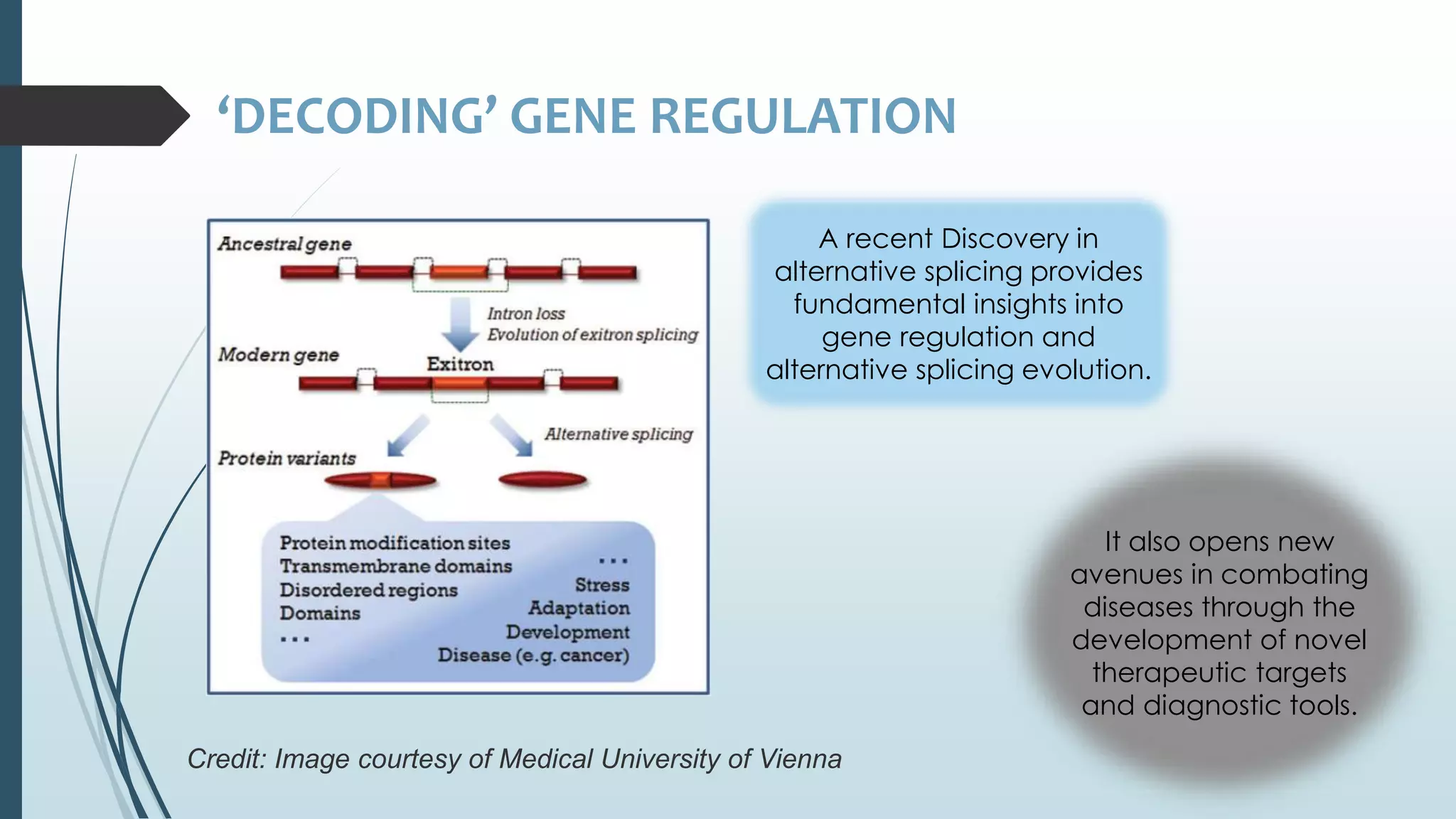 Gene regulation | PPTX