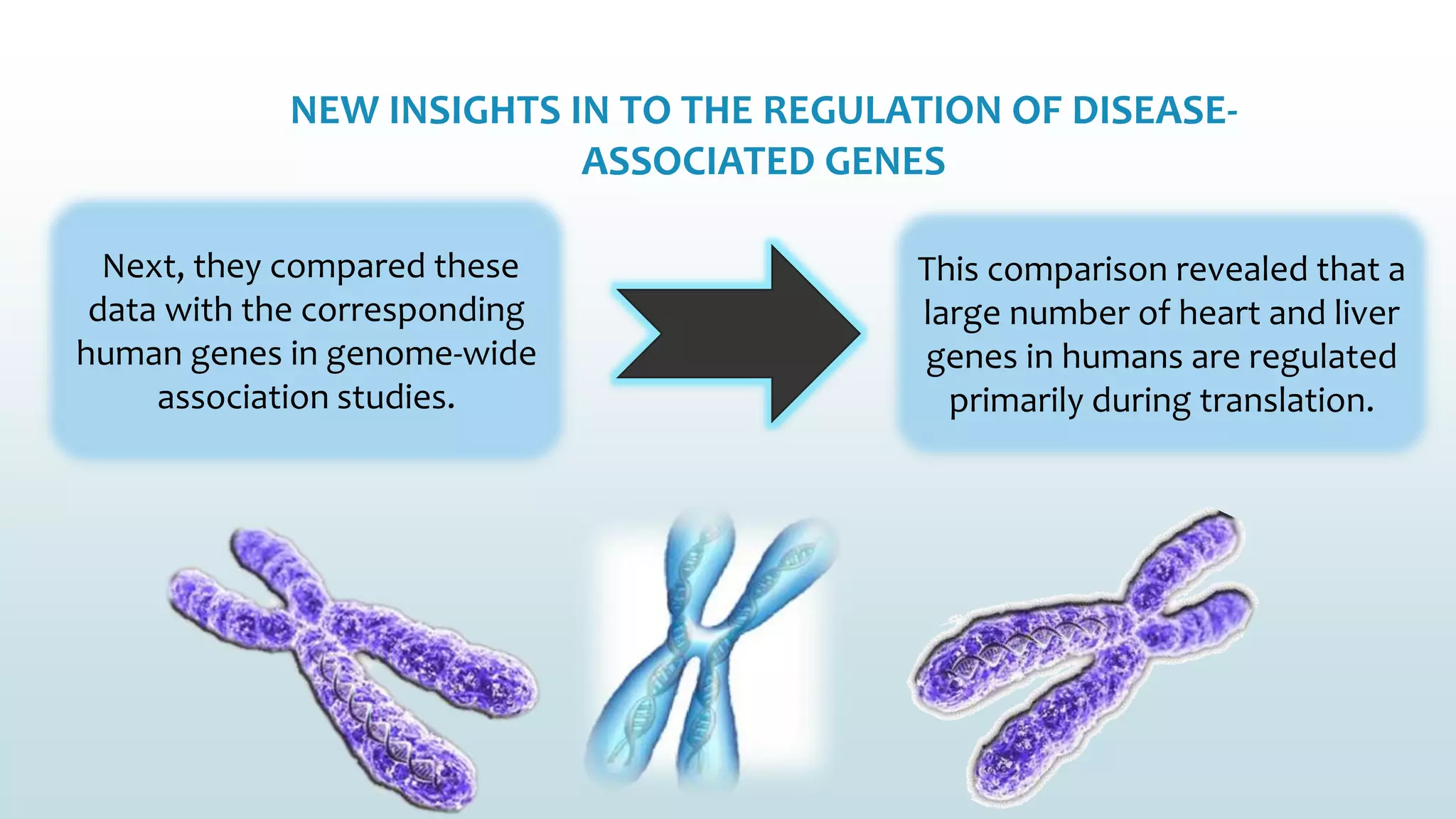 Gene regulation | PPTX