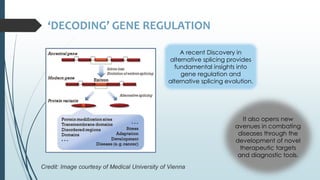 Gene regulation | PPTX
