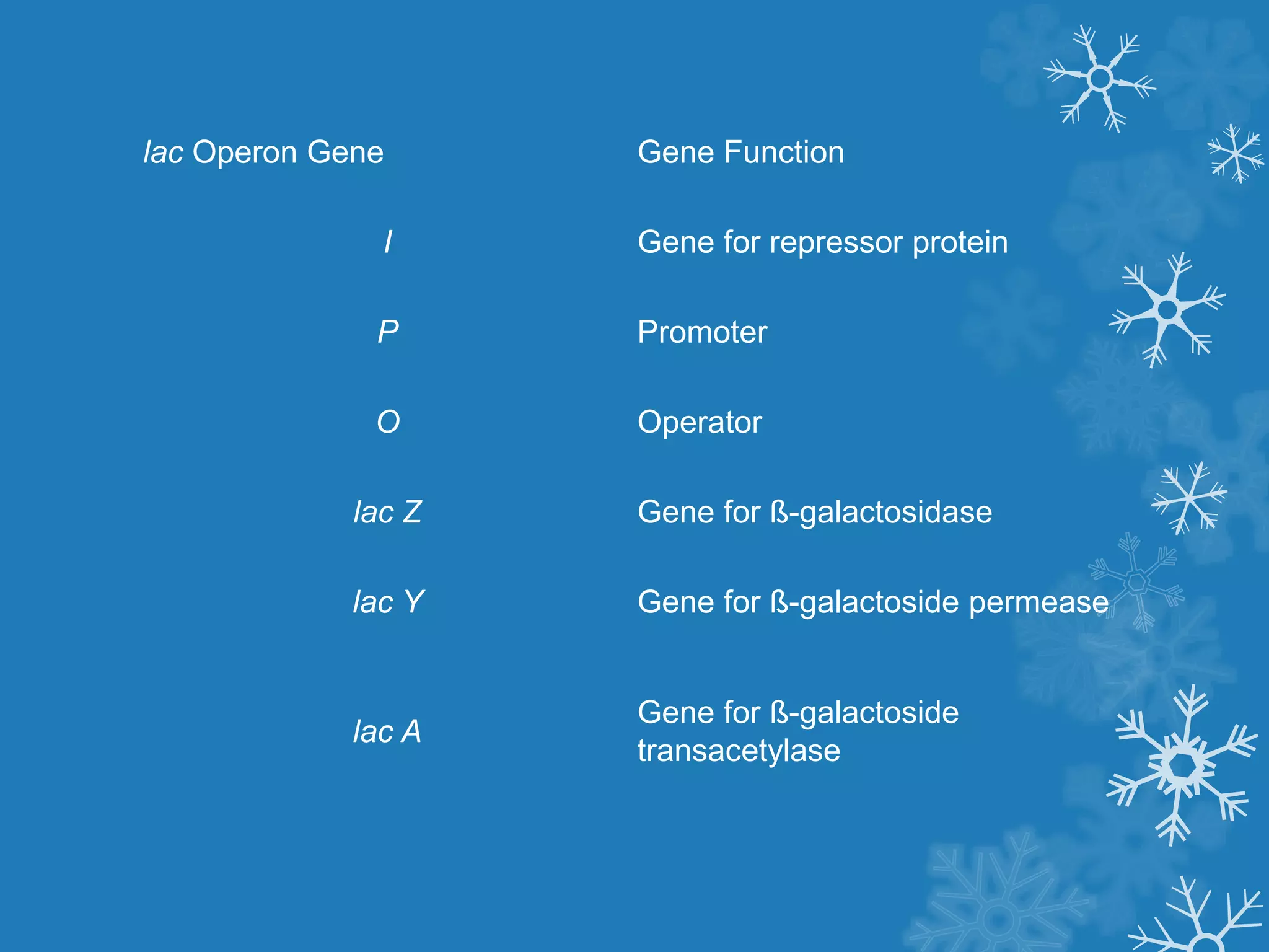 Regulation of Gene expression | PPTX