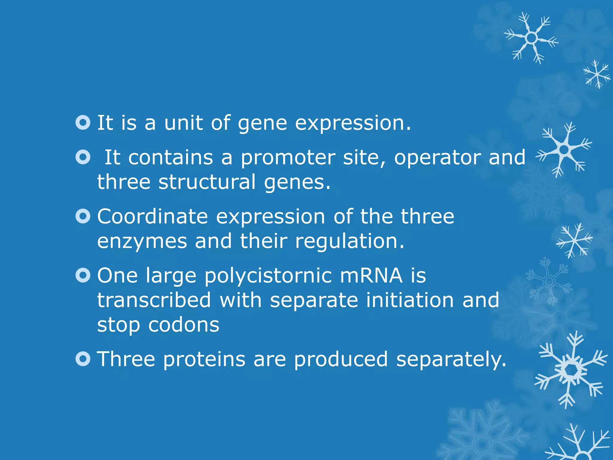 Regulation Of Gene Expression Ppt