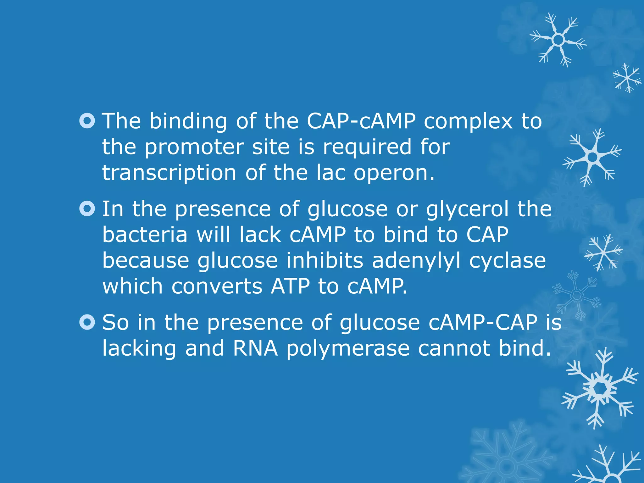 Regulation of Gene expression | PPTX