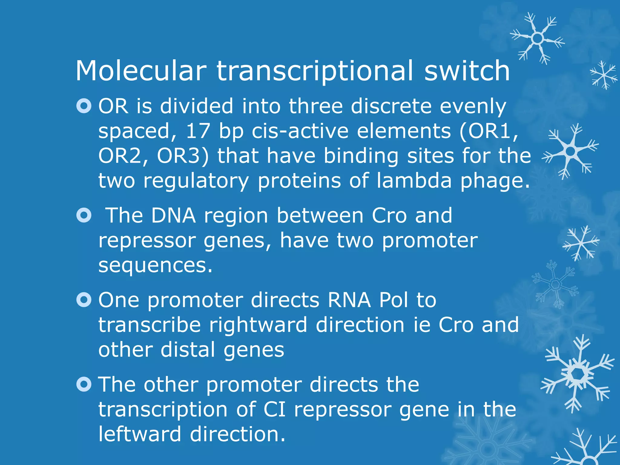 Regulation of Gene expression | PPTX