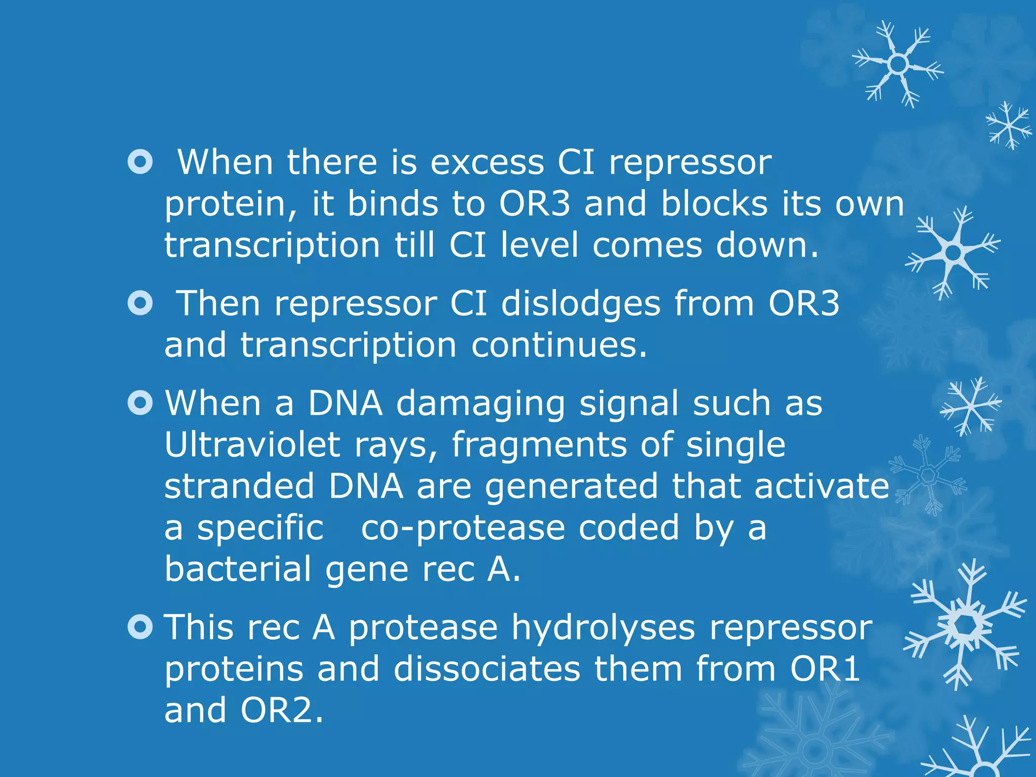 Regulation of Gene expression | PPTX