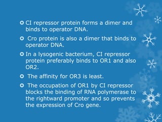 Regulation of Gene expression | PPTX