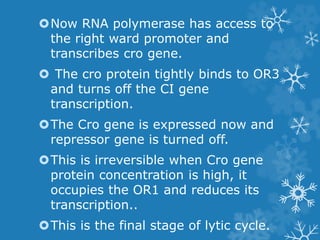 Regulation of Gene expression | PPTX