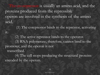 GENE REGULATION | PPT