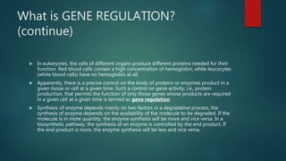 Gene regulation | PPTX