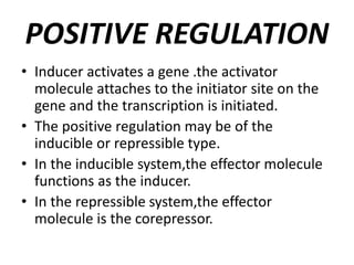Gene regulation | PPT