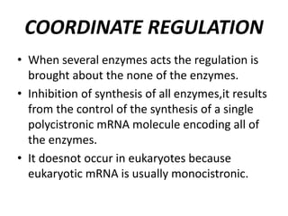 Gene regulation | PPTX